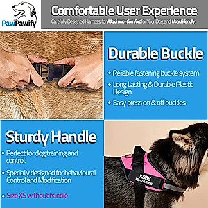PawPawify Custom No Pull Dog Harness with Name and Phone Number, Heavy Duty Personalized Pet Vest to Prevent Tugging, Pulling, or Choking, Training and Walking