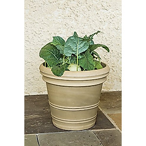 Burpee Konan Hybrid Kohlrabi Seeds 100 seeds