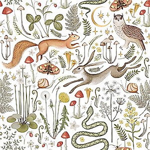 BEETAL Colorful Animal Forest Squirrel Owl Mushroom Leaf Peel and Stick Wallpaper Beige Easy Peel Off Self Adhesive Removable Stick on Wall Paper for Kitchen Renter Friendly
