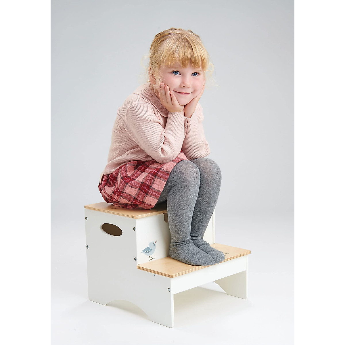 Tender Leaf Toys - Forest Steps - Lightweight and Portable Step Stool for Kids with Storage Space and Handles - Easy to Move, Great for Home, Kitchen, Nursery Room, and Countertop - Age 3+