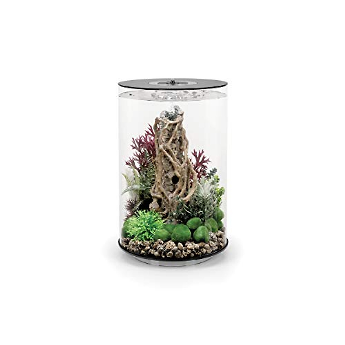 biOrb Bonsai Ball Black