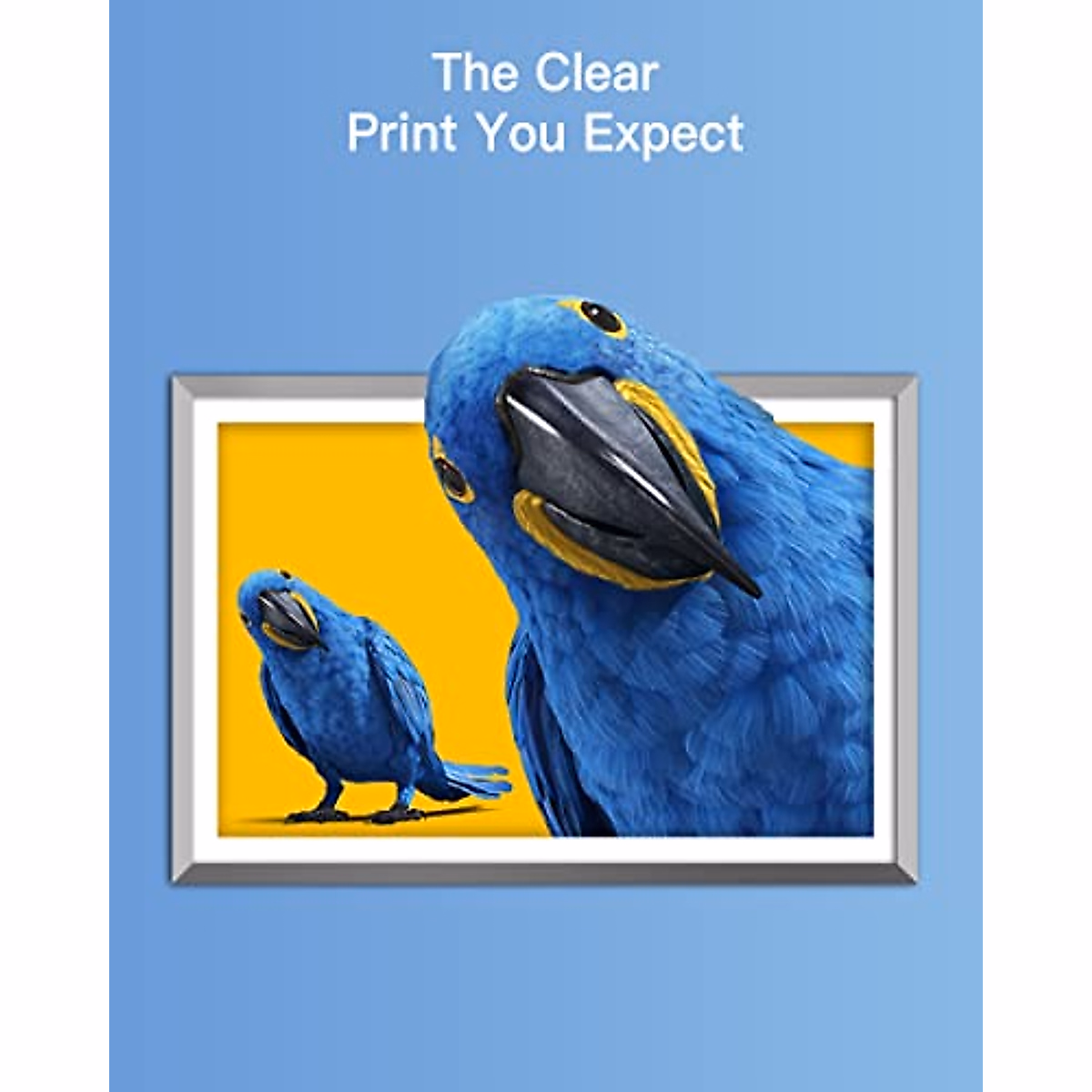 GPC Image Compatible Ink Cartridge Replacement for HP 564XL 564 XL Compatible with DeskJet 3520 3522 Officejet 4620 Photosmart 5520 6510 7520 7525 Printer (4 Photo Black)