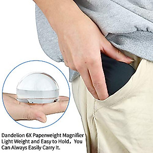 Dandelion 6X Dome / Paperweight Magnifier w/ Pouch Table Magnifying