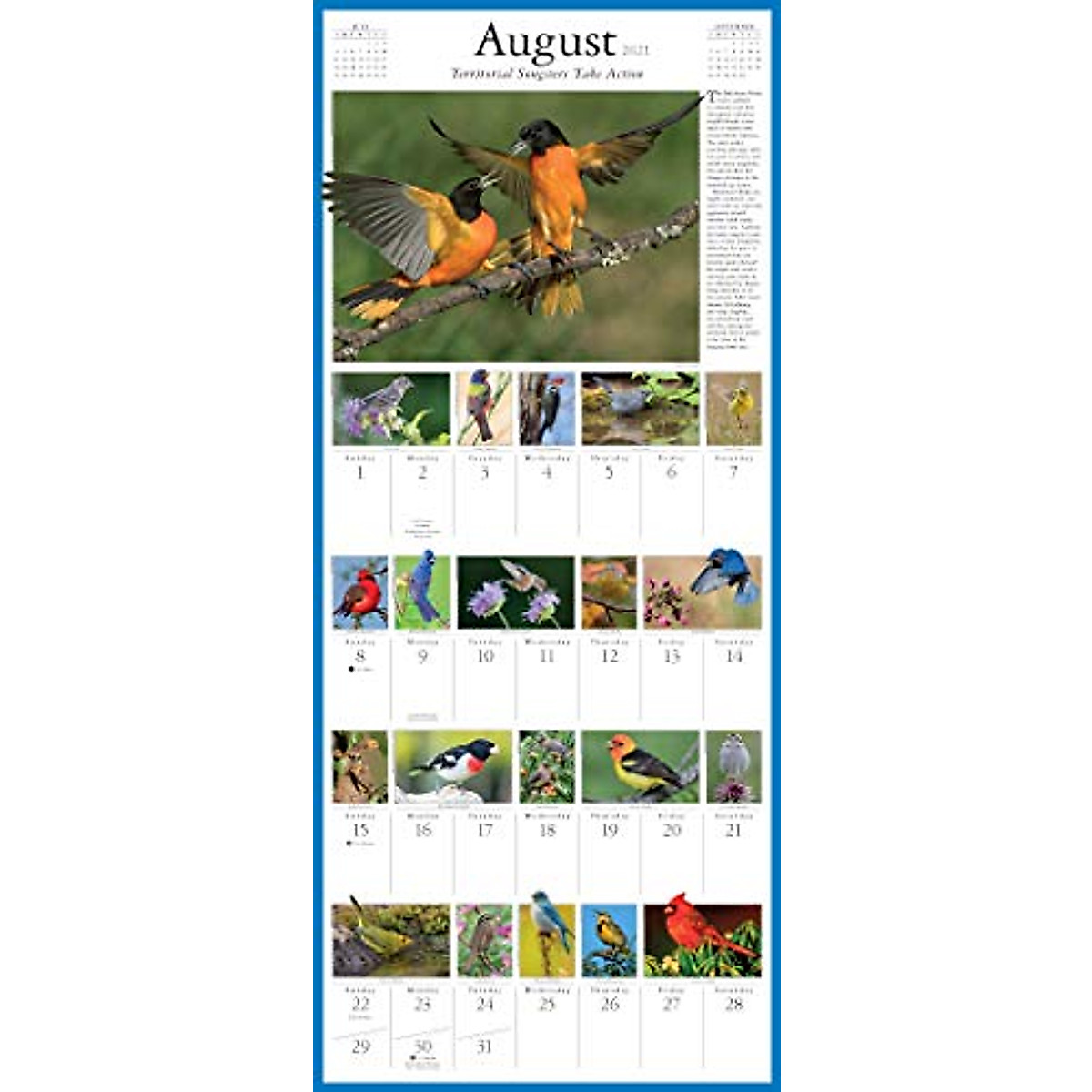 Audubon Songbirds and Other Backyard Birds Picture-A-Day Wall Calendar 2021