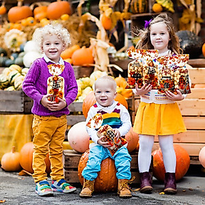 200 Pieces Thanksgiving Treat Bags Fall Cellophane Favor Bags Autumn Plaid Treat Bags Maple Leaves Pumpkin Fall Candy Bags with Twist Ties for Thanksgiving Fall Autumn Party Supplies