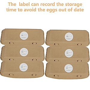 20 Pack Egg Cartons Egg Holder Countertop Paper Egg Cartons 2x6 Style Blank Natural Pulp Egg Cartons Holds Up to 12 Eggs, Sturdy Design Made from Recycled Cardboard