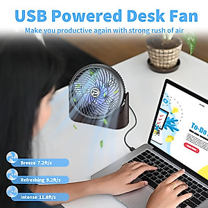 PELANZENHAU 8 inch Table Fan with Remote, USB Powered Desk Fan with RGB Light & Timer, 3 Strong Speeds & 360° Pivot Adjustable, Desktop Air Circulator Fan for Home Office Dorm RV Bedroom Travel