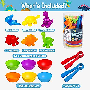 Counting Dinosaurs Color Sorting with Rainbow Bowls for Kids, Sensory Training & Counting Activity, Montessori Preschool Education Learning Math Sorting Toys Sets Gift for 3-5 Years Old Boys Girls