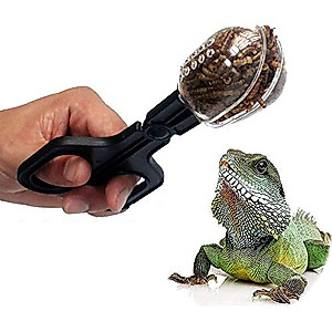 Reptile Feeding Tool Set,Feeding Clip and Long Tweezers for Hamsters,Insects,Turtle,Snake,Spider,Frog,Gecko,Chameleon and Other Small Animals