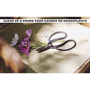 Bonsai Pruning Scissors for indoor outdoor gardening, Higurashi Bonsai Shears in a bamboo gift box, Versatile tool for use around the kitchen, house and garden