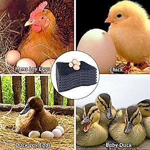 Hamiledyi Chicken Nesting Box Pads, 6PCS Hen Nest Mats Washable, Chicken Nesting Box Plastic Liners, Reusable Egg Laying Mats for Chicken Coop Poultry Nest Boxes Ducks