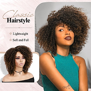 Hanne Fashion Short Kinky Curly Wigs Ombre Brown Side Part Wig Afro Curly Wig Twist Out Wigs Heat Resistant Fiber Synthetic Full Wigs for Black Women (1B 30#)