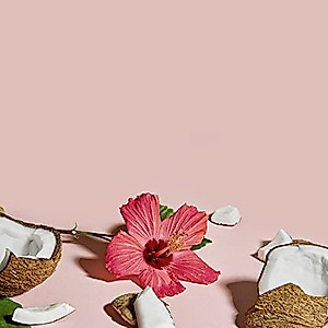 SheaMoisture Curl and Shine Coconut Shampoo for Curly Hair Coconut and Hibiscus Paraben Free Shampoo 13 oz 2 Count