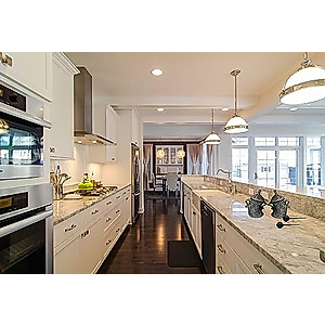 Canister with Attitude, Jar with Attitude, Cute Food Storage, Sassy Sugar Container for Kitchen, Perfect for Coffee Tea Sugar Spices Jars, A Pair