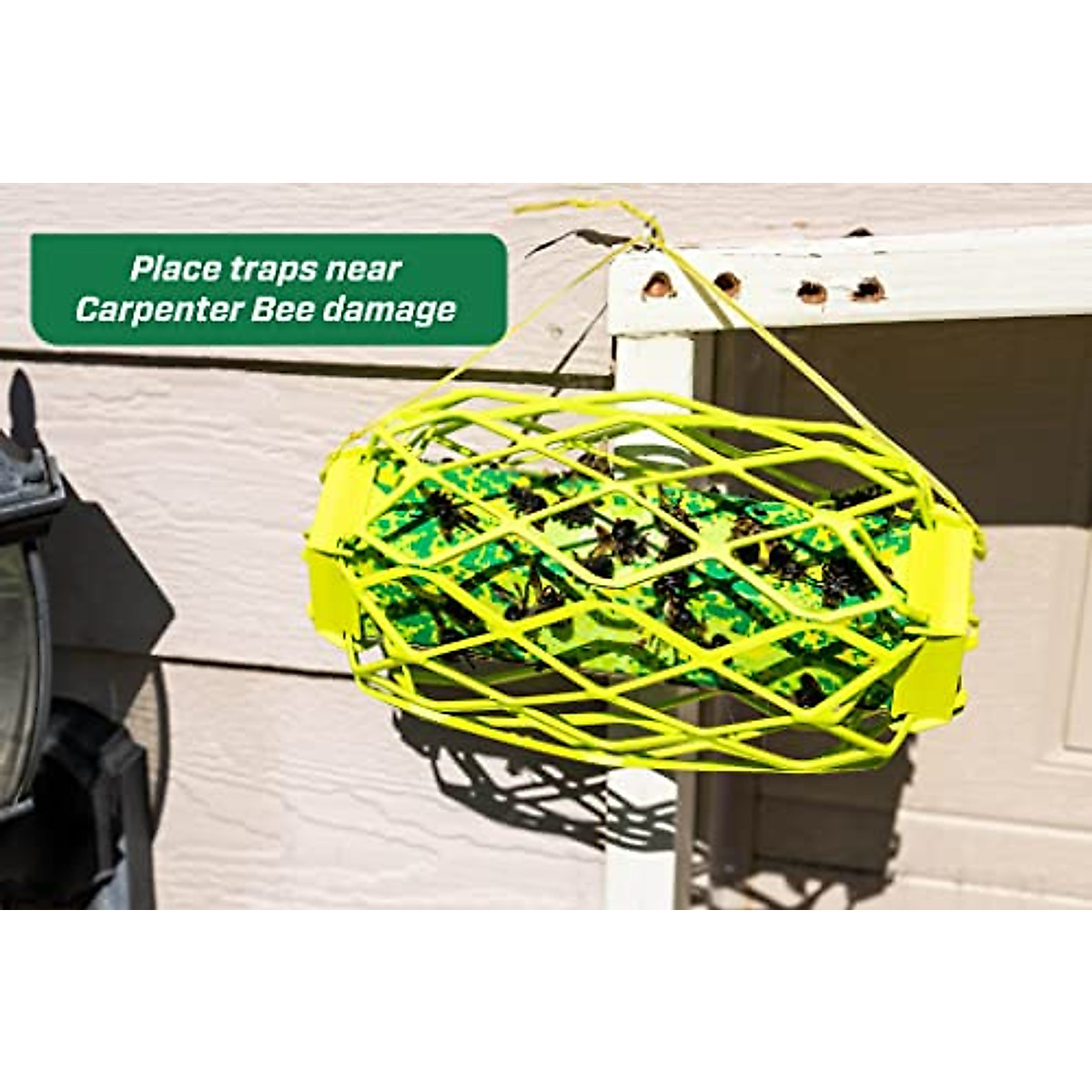 Rescue! Carpenter Bee TrapStik – Also Works on Wasps, Mud Daubers - 2 Traps