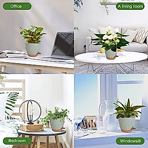 Vanslogreen Plant Pots Indoor 7/6.5/6/5.5/5 Inch Self Watering Planters for Indoor Plants with Drainage Hole, Plastic Flower Pot for Succulents, African Violet (Green)