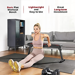 FLYBIRD Folding Flat Bench, Sturdy Lightweight and Space-saving Bench Press Flat Weight Bench, Easy to Assemble