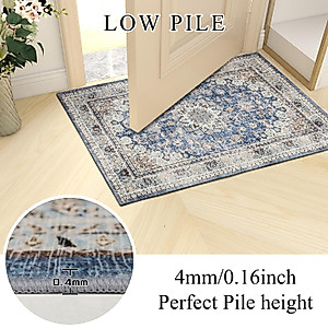Bairichmat 2x3 Area Rugs,Machine Washable Rug,Non-Slip,Kitchen Rugs, Entryway Rug, Small Rug, Door Mat,Indoor Rug with Stain Resistant Accent Distressed Carpet Thin Rug,Non Shedding, Easy Clean
