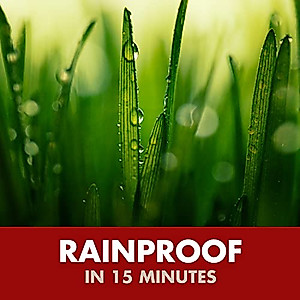 Spectracide Weed & Grass Killer (Refill), Use On Driveways, Walkways and Around Trees and Flower Beds, 1.3 Gallon