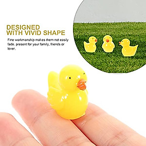 SEWACC 10pcs Micro Landscape Ornament Kitten Ornament Miniature Bonsai Decor Desk Topper Small Statue Garden Decoration Mini Ducks Decorations for Home Little Duck Resin Animal