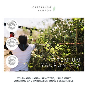 CatSpring Yaupon Marfa Dark Roast Black Yaupon Tea, Naturally Caffeinated and Sustainable Texas Tea, Individually Packed Herbal Teabags, 16 Bags per Tea Box