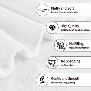 Luxury Throw Blanket Ultra-Soft Micro Fleece Blanket Flannel Blanket for Sofa Bedding Air Conditioning Blanket