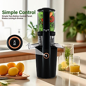 Cold Press Juicer，Slow Masticating Juicer,4.2-inch Large Bore Feed Chute， Juicer Machines Vegetable and Fruit,Easy to Clean, High Juice Yield,250W (black)