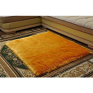 Orange Rugs for Bedroom Fluffy, Fuzzy Plush Soft Shaggy Area Rug Living Room Carpet Kids Bedroom Nursery Shag Rug Home Decor,Gold