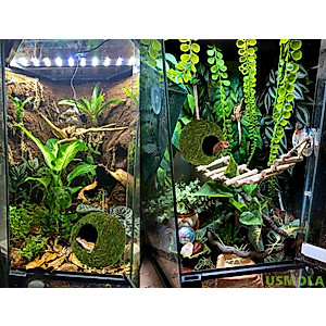 USMOLA Mossy Caves, Artificial Green Moss Caves Hide for Pet Reptile Frogs and Snakes, Terrarium & Vivarium Decor, Crested Gecko Tank Decor (4" - Woodland Green)