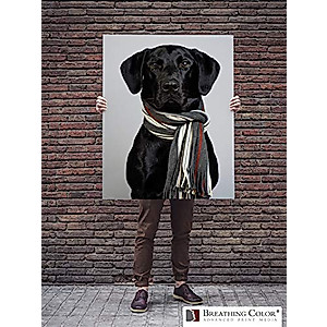 Premium Lyve Matte Canvas Paper Perfect For Use on Professional Makes and Models of Epson, Canon and HP printers preferred by Professionals. 19 mil textured Canvas offered in a 17 inch by 10 ft roll