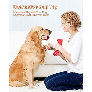 GEE BON 2 Pack Indestructible Dog Toys for Aggressive Chewers - Tough Dog Chew Toys for Aggressive Chewers Large Breed, Nylon Durable Dog Chew Bones with Bacon & Beef Flavor for Medium and Large Dogs