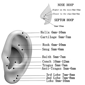 FOLLOWMOON 8mm Septum Ring Gold Nose Rings Hoop 18 Gauge Nose Hoop Helix Daith Tragus Earrings Hinged Segment Septum Clicker Lip Rings 18g Cartilage Earring Nose Piercing Jewelry Surgical Steel