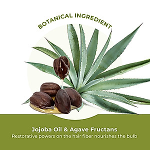 Yves Rocher Repair Balm Shampoo | Cleanse & Restructure Damaged Hair | 10.1 fl oz