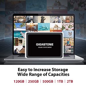 Gigastone SATA SSD 1TB (2-Pack) 2.5 inch SSD 520MB/s Upgrade Laptop PC Memory and Storage PS4 HDD Replacement 2.5" Internal Solid State Hard Drives SATA III SLC Cache 3D NAND Increase Performance