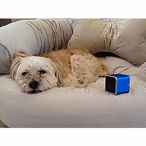 Pet Tunes Bluetooth Speaker Preloaded with Calming Canine Music