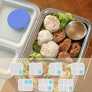 Moretoes 9pcs Salad Dressing Container To Go, 2.4oz Mini Condiment Containers with Lids for Bento Boxes and On-the-Go Meals（Morandi - Colored