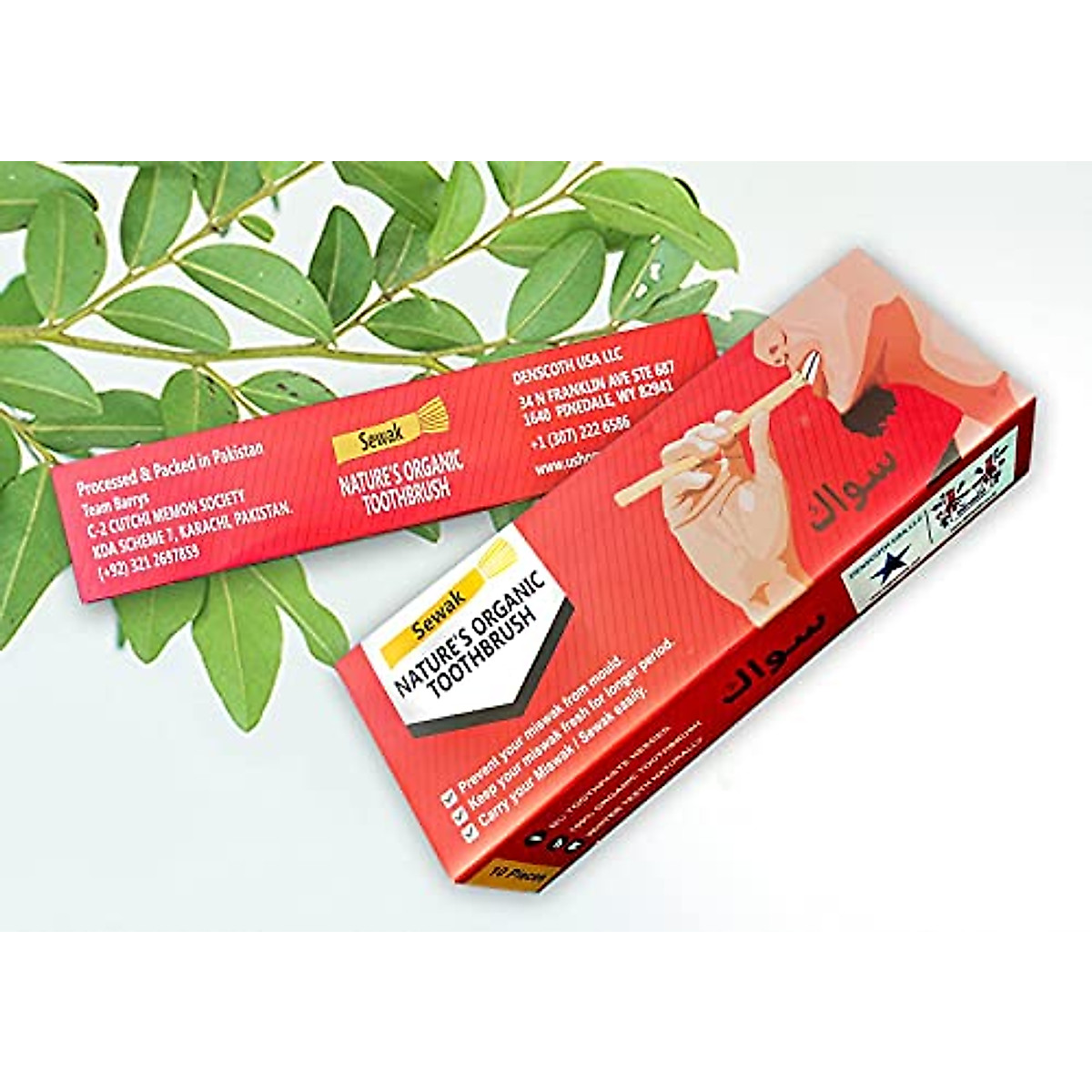 SEWAK Miswak Sticks for Teeth Natural Toothbrush | مسواك | Siwak Organic Wooden Tooth Brush Oral Teeth Whitener with Holder | Vacuum Sealed (10 Pack)