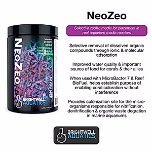 Brightwell Aquatics NeoZeo - Selective Zeolite Media for Placement in Reef Aquarium Media Reactors, 4.5-kg
