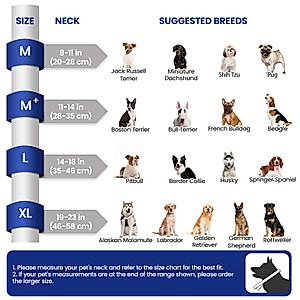 BARKLESS Inflatable Dog Cone Collar, Soft Dog Donut Collar After Surgery, 2-in-1 Dog Cone Alternative with Detachable Anti-Licking Shield, Soft Cone for Dogs Does Not Block Vision, Medium, Grey