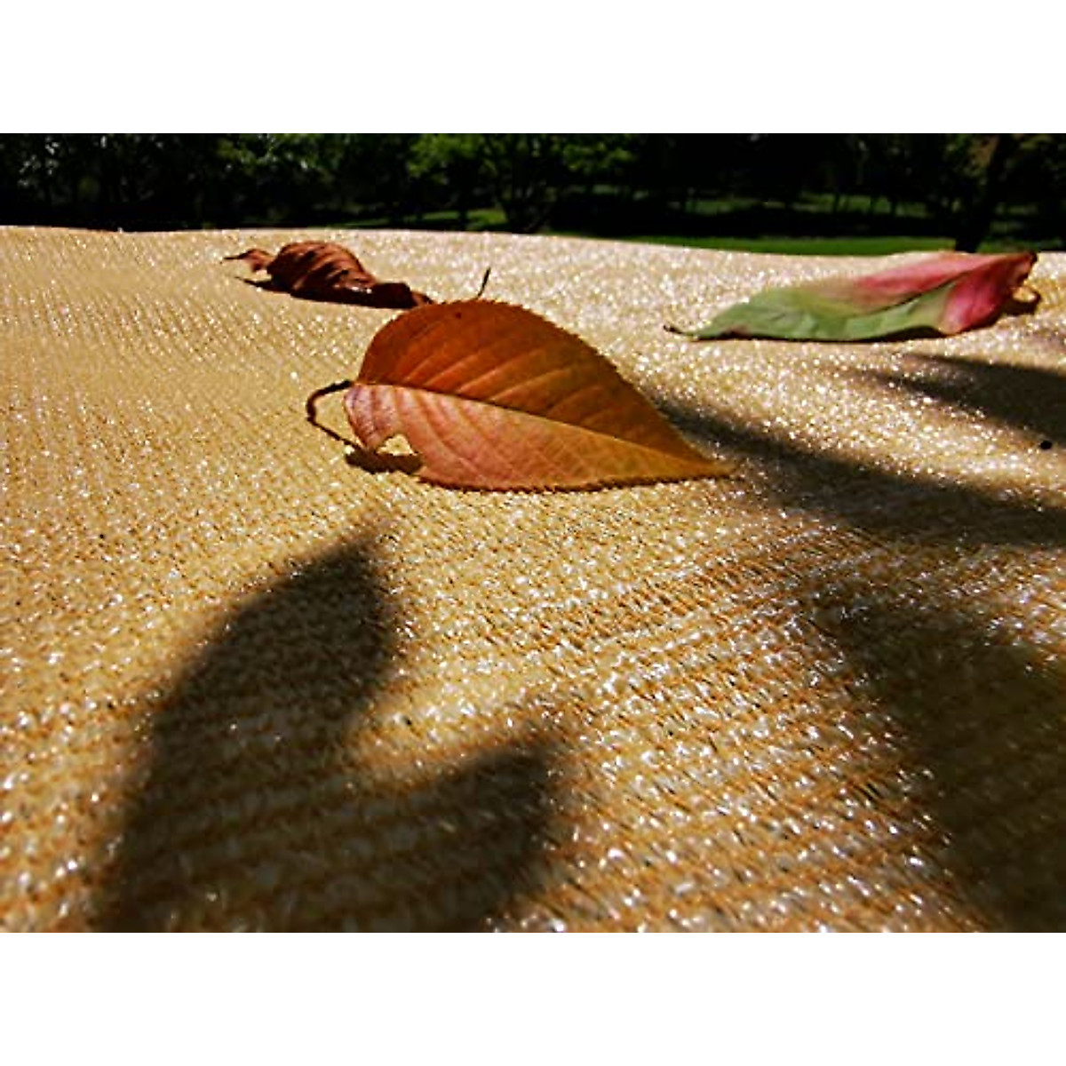 MontCampys Sun Shade Sail 7' x 10' Rectangle Permeable Canopy Shade Cloth UV Block Cover for Backyard Patio Garden Lawn Carport Outdoor Camping Event, Yellow/Sand