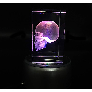 3D Human Skull Anatomical Anatomy Model Paperweight(Laser Etched) in Crystal Glass Cube Science Gift (No Included LED Base)(3.1x2x2 inch)