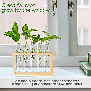 Worldity 15 Pcs Clear Test Tubes for Plant, 20 ml Plant Propagation Tube with Brush, Plastic Test Tubes for Hydroponic Plants, Flowers, Home Office Wall Decor (12 cm)