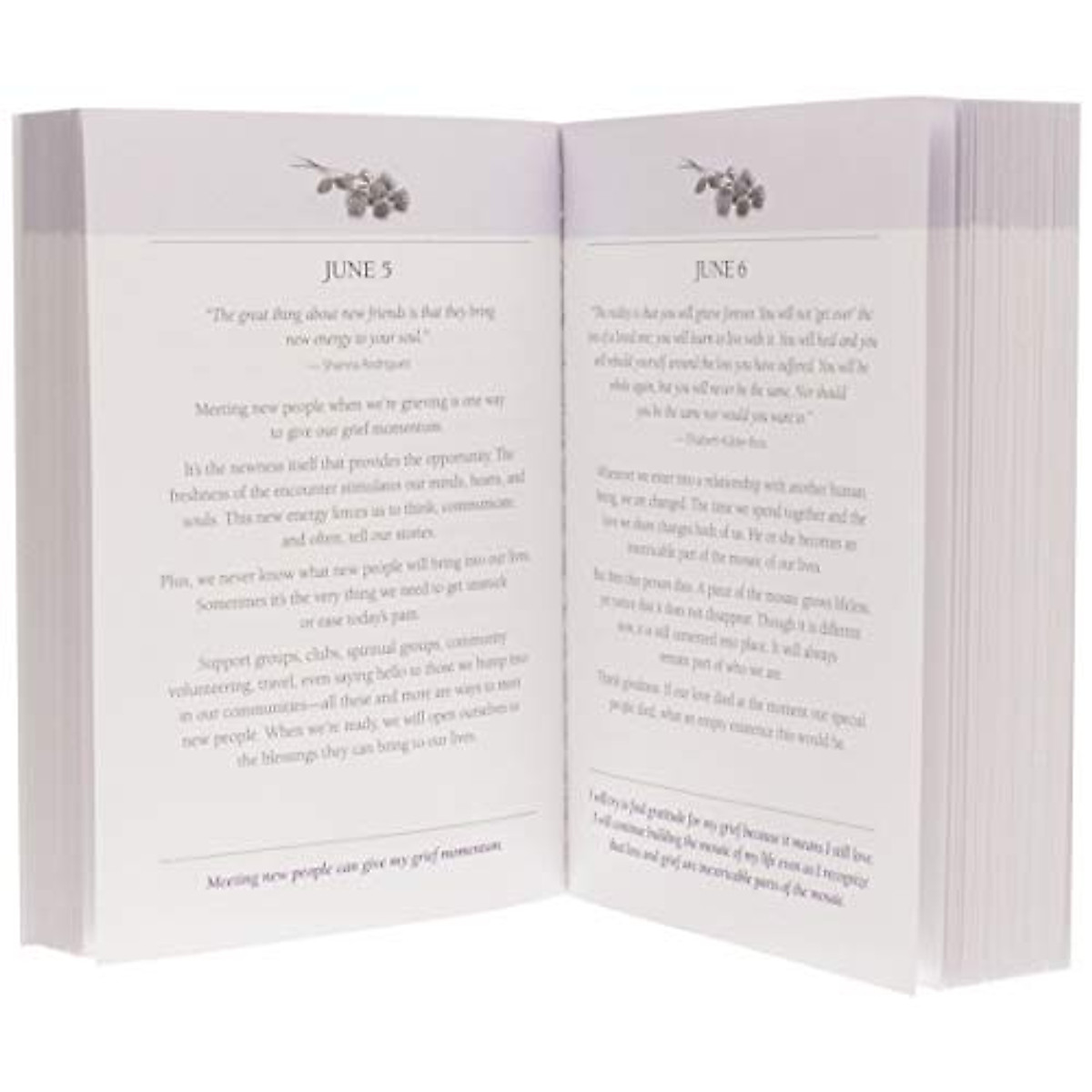 Grief One Day at a Time: 365 Meditations to Help You Heal After Loss