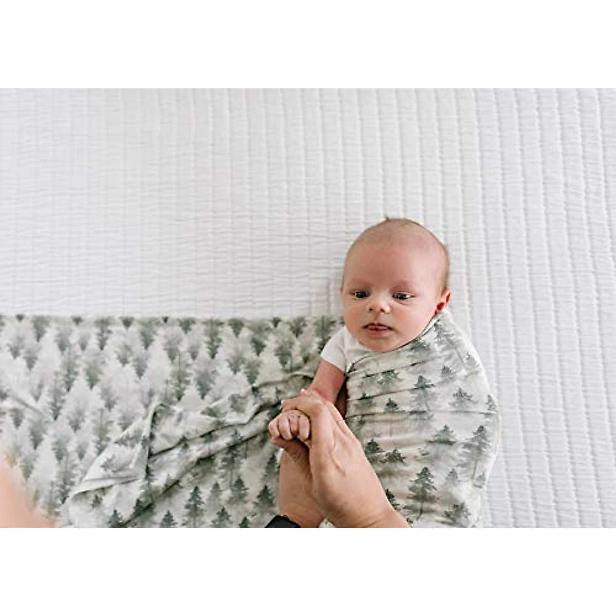 Copper Pearl Large Premium Knit Baby Swaddle Receiving Blanket Evergreen