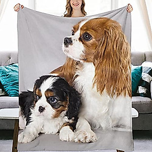Cavalier King Charles Spaniel, Fleece Blanket Ultra-Soft Cozy Plush Blanket Throw Blankets Couch Chair Living Room Air Conditioning Cool Blankets, 50"*60"