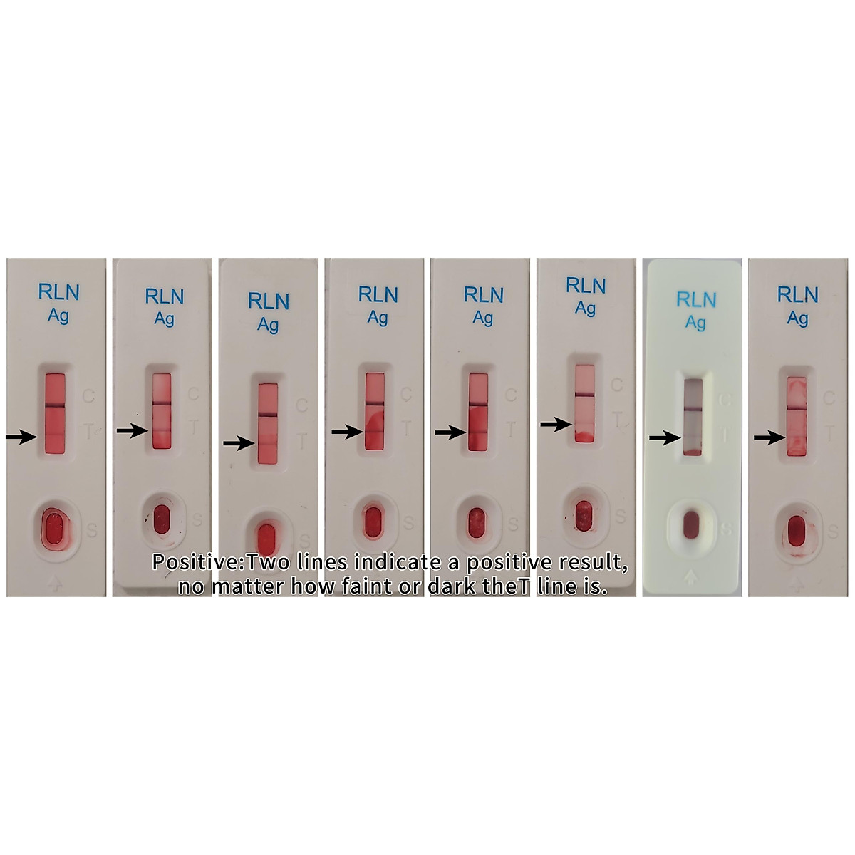 Dog Pregnancy Test at Home, 98% Accuracy, Painless to get Sample No Equipment Required Qucik Result at 5 Minutes Easy NO Mess