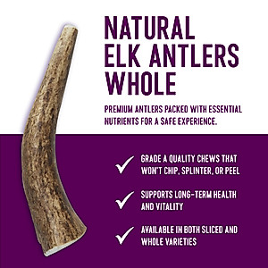 Health Extension Natural Elk Antlers for Dogs, Medium Whole – Long-Lasting Chews for Aggressive Chewers, Dental Health Promotion, Ideal Puppy Training Treat