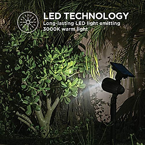 Home Zone Security Solar Path Lights - Outdoor Decorative Pathway Light and Spotlight Variety Pack, 8-Pack