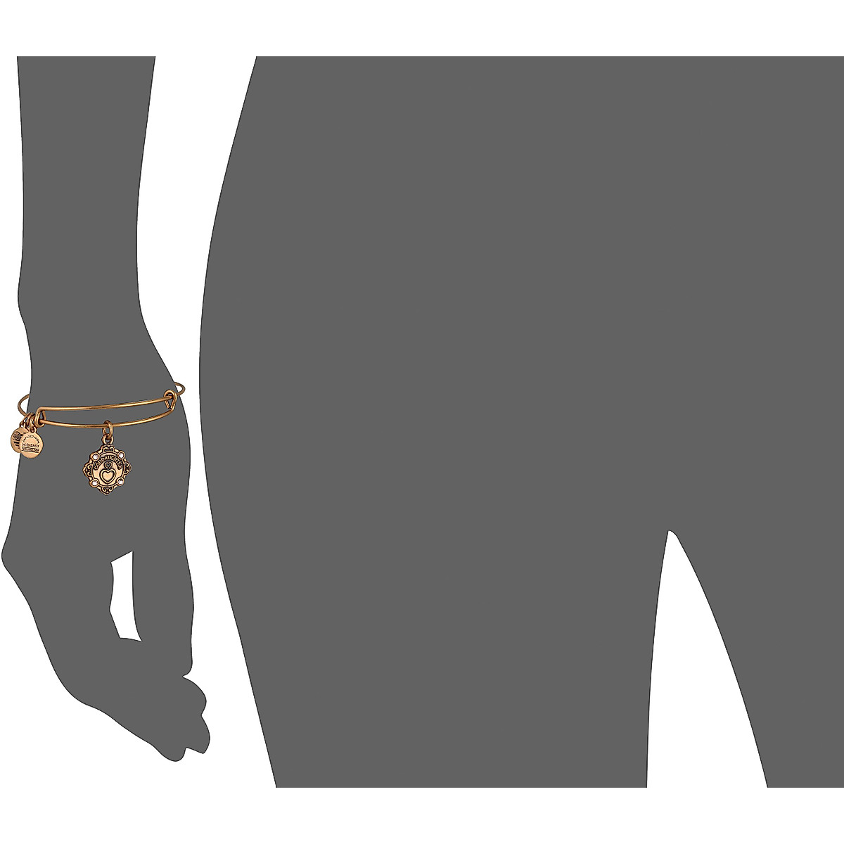 Alex and Ani Womens Because I Love You A18BILY08RG Goddaughter Charm Bangle Bracelet, Rafaelian Gold, Expandable