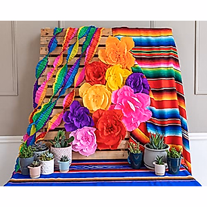 Riles & Bash Fiesta Streamer Backdrop with Crepe Paper Flowers and Ruffled Streamers (Fiesta)